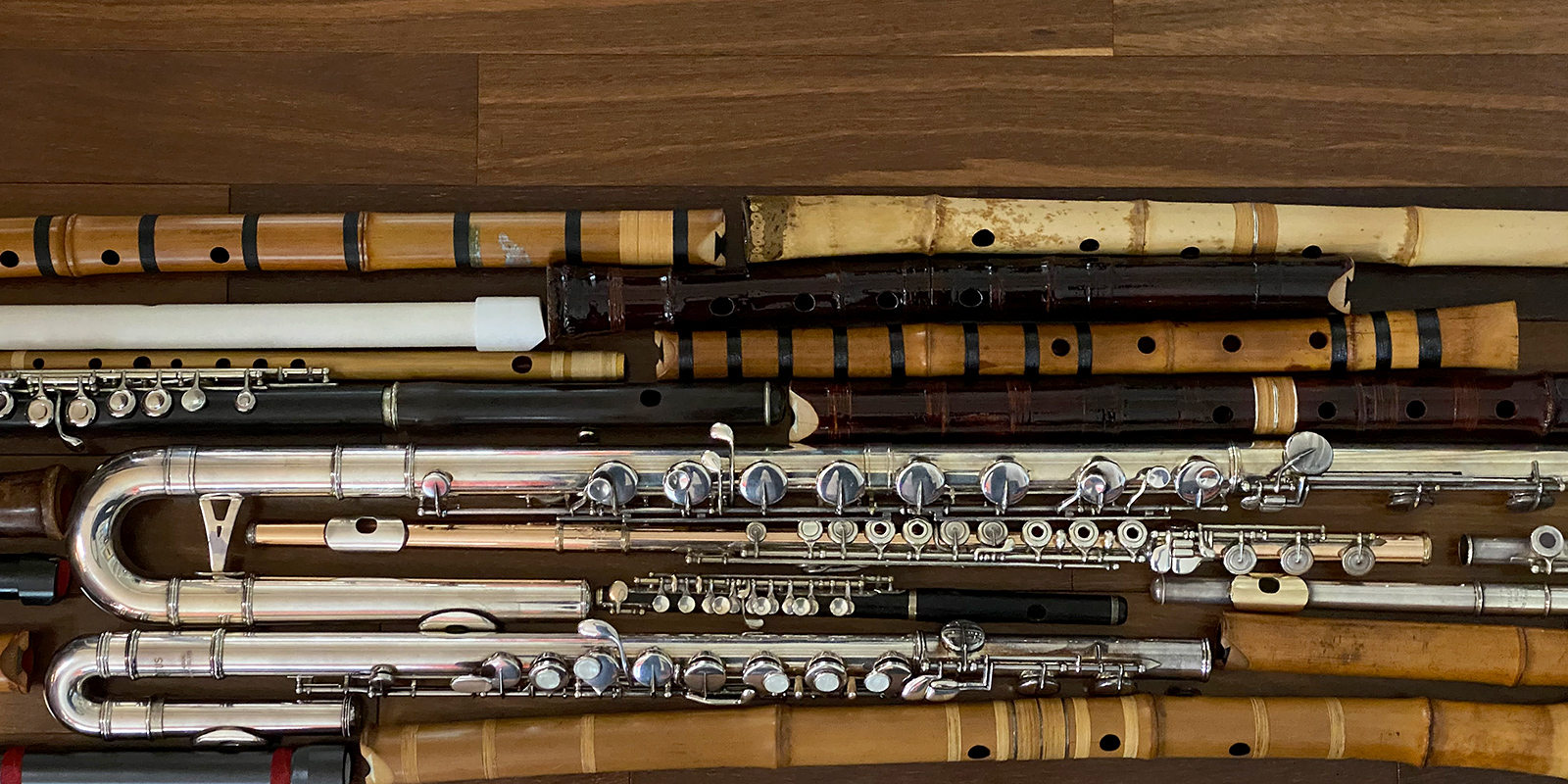 Welcome – Rachel Rudich